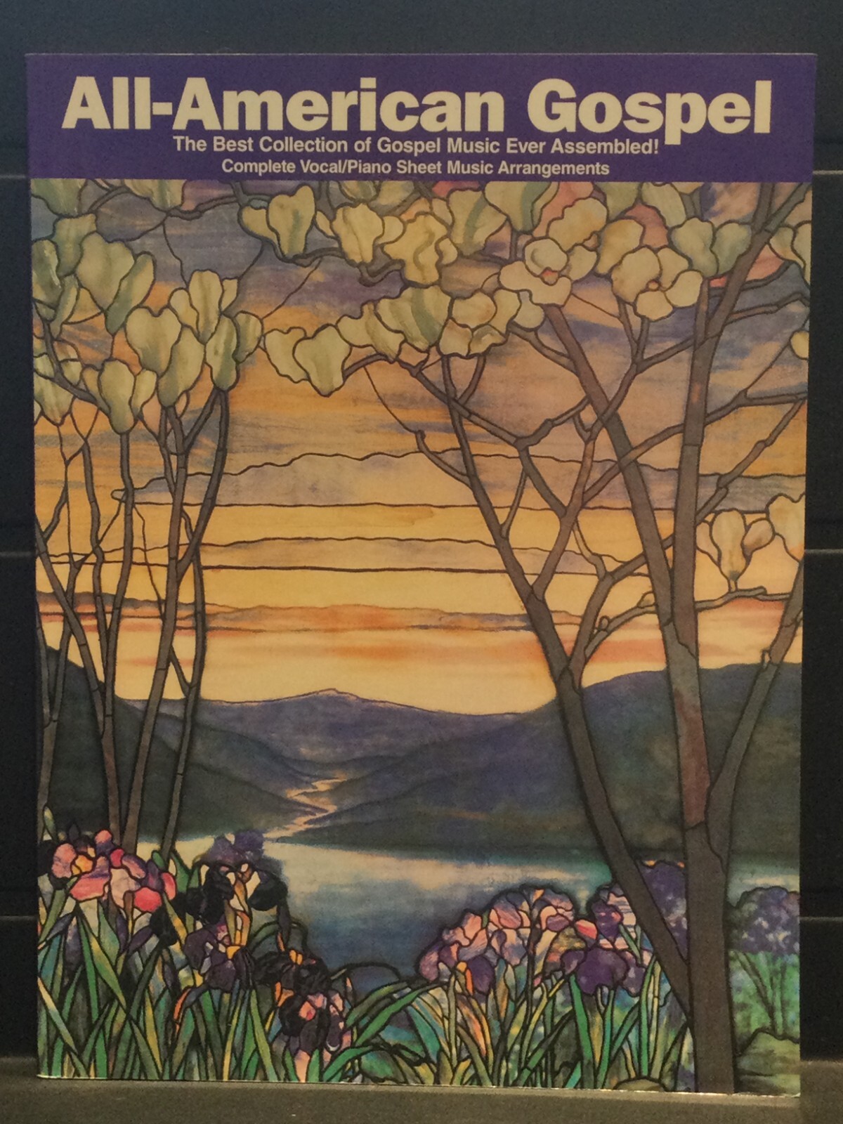 Artisan Marcato 100 1/2 Violin Outfit - The Gift of Music Store